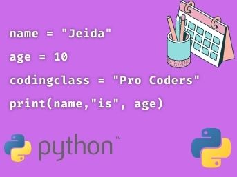 Python Programming - eduSTEMlab