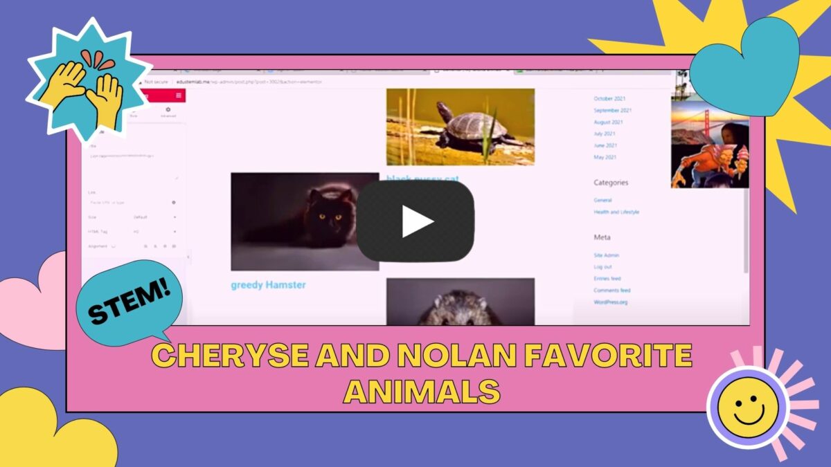 eduSTEMlab: Tofe mBot Robot Lights: Check Out The Lights!